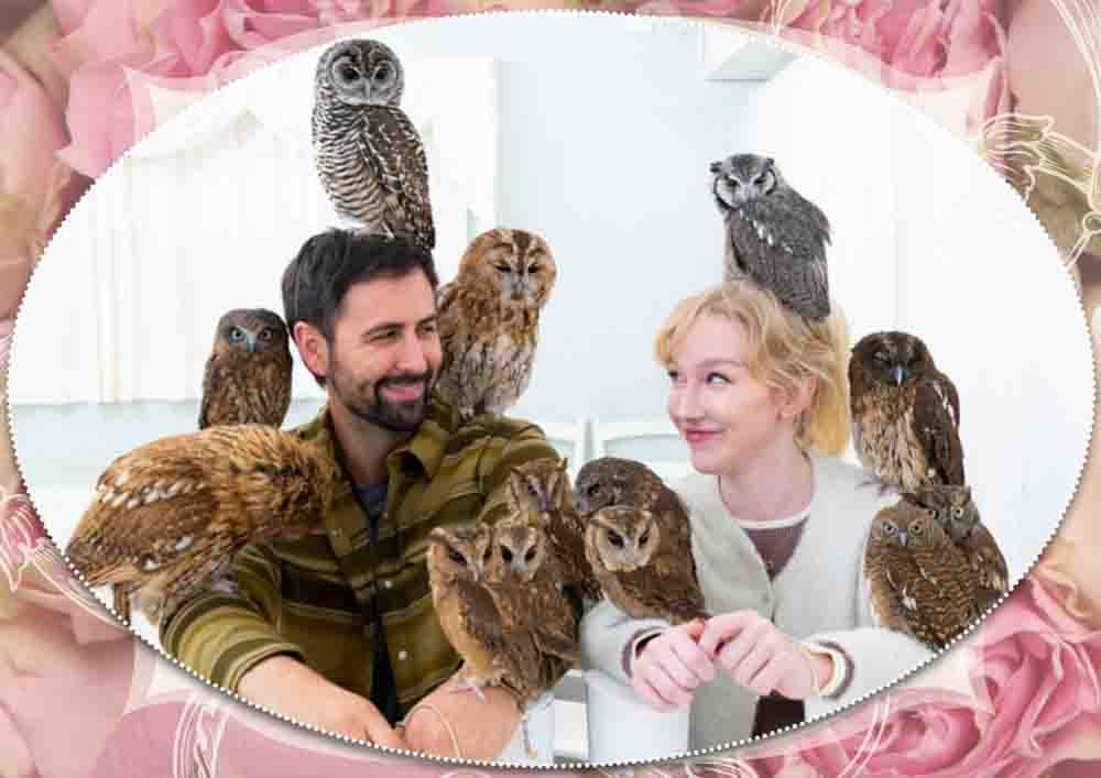 Owl Cafe Tokyo Private Session - Owl Cafe Tokyo Japan